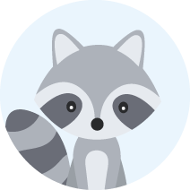 Raccoon